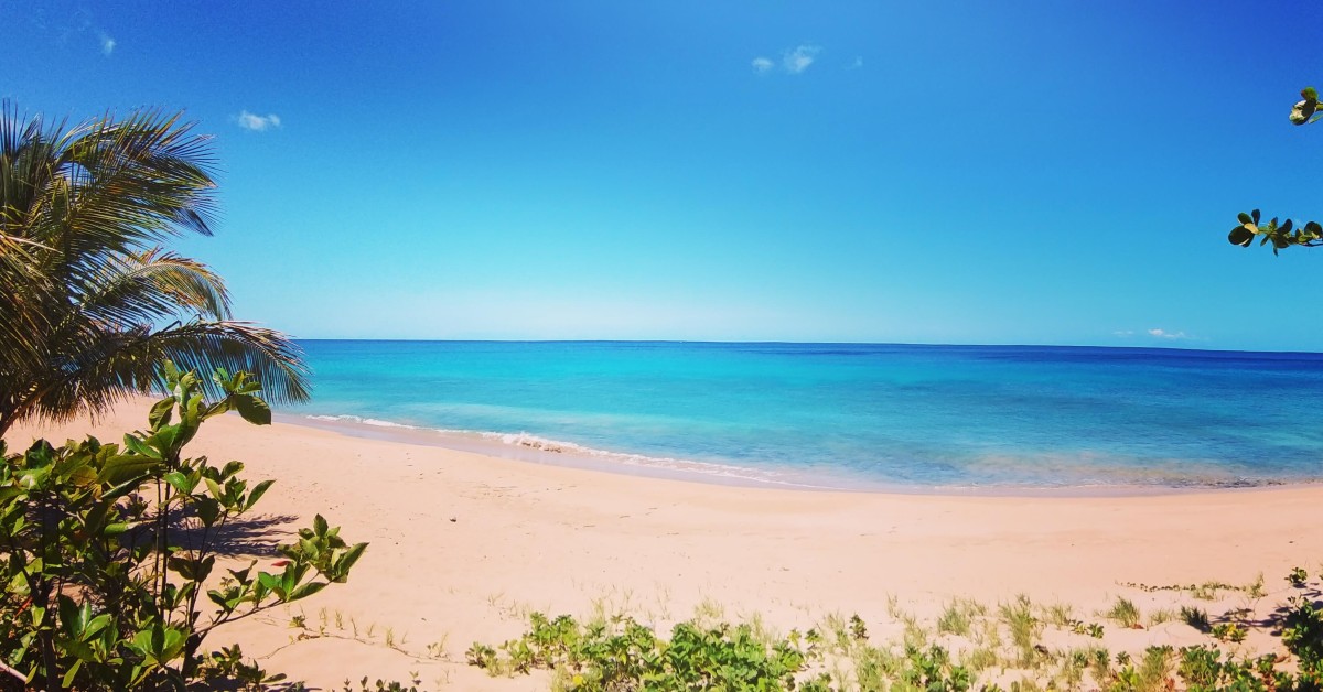 Duplex Tortue Kawane | Katalo Plage